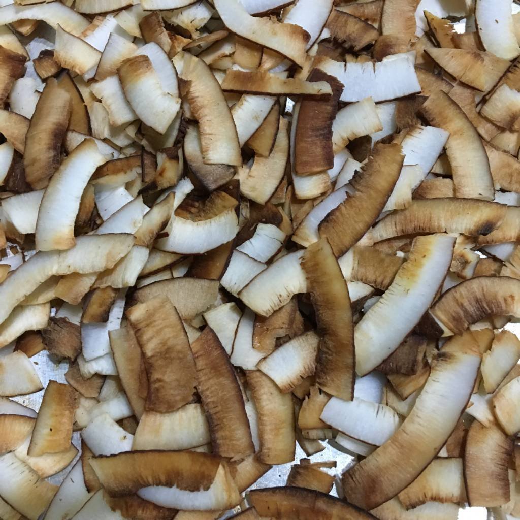 Chips de coco low carb - Como fazer esse delicioso snack?