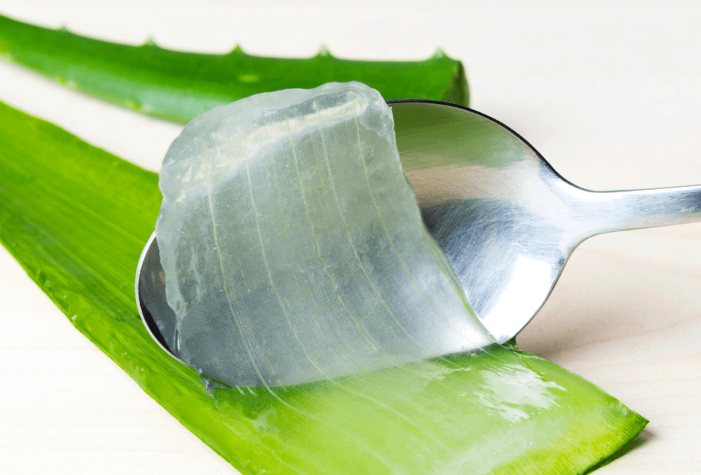Como usar babosa no cabelo: Guia para cuidados naturais